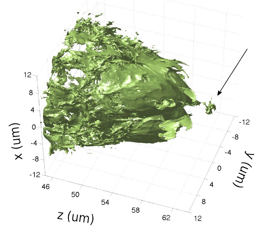 Simulation of Brilliant X/Gamma-Ray Emission in Strong Laser Fields ...