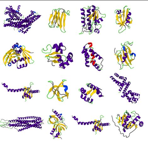 From Biomolecular Structures to Thermodynamic Ensembles: Cellular ...