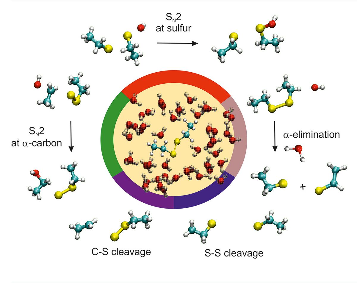 Mechanochemistry of Covalent Bond Breaking from First Principles ...