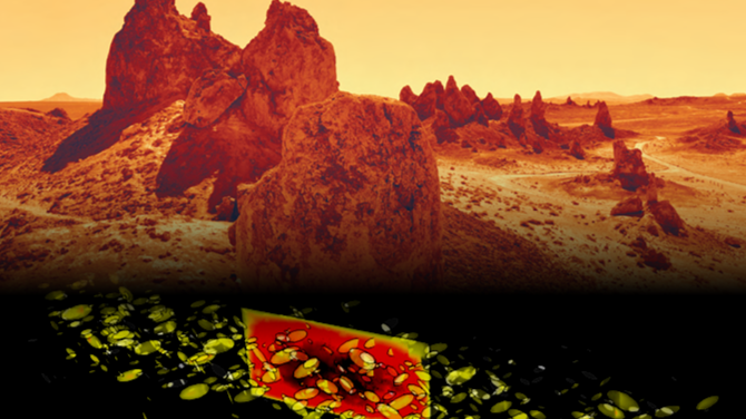 Next-Generation Earthquake Modelling Highlights Differences in Large ...