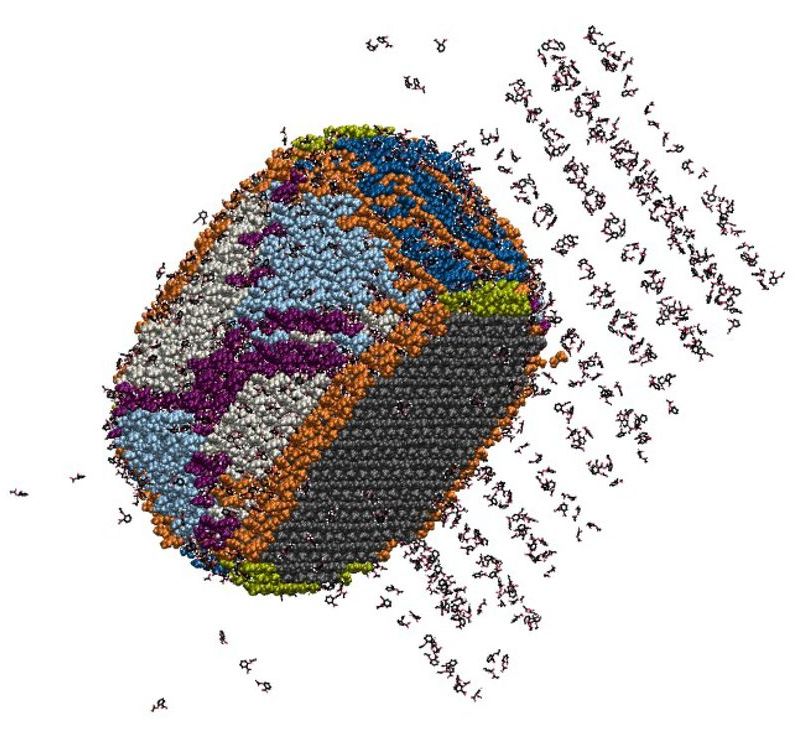 Molecular and Multiscale Simulation of Crystal Growth from Solution ...
