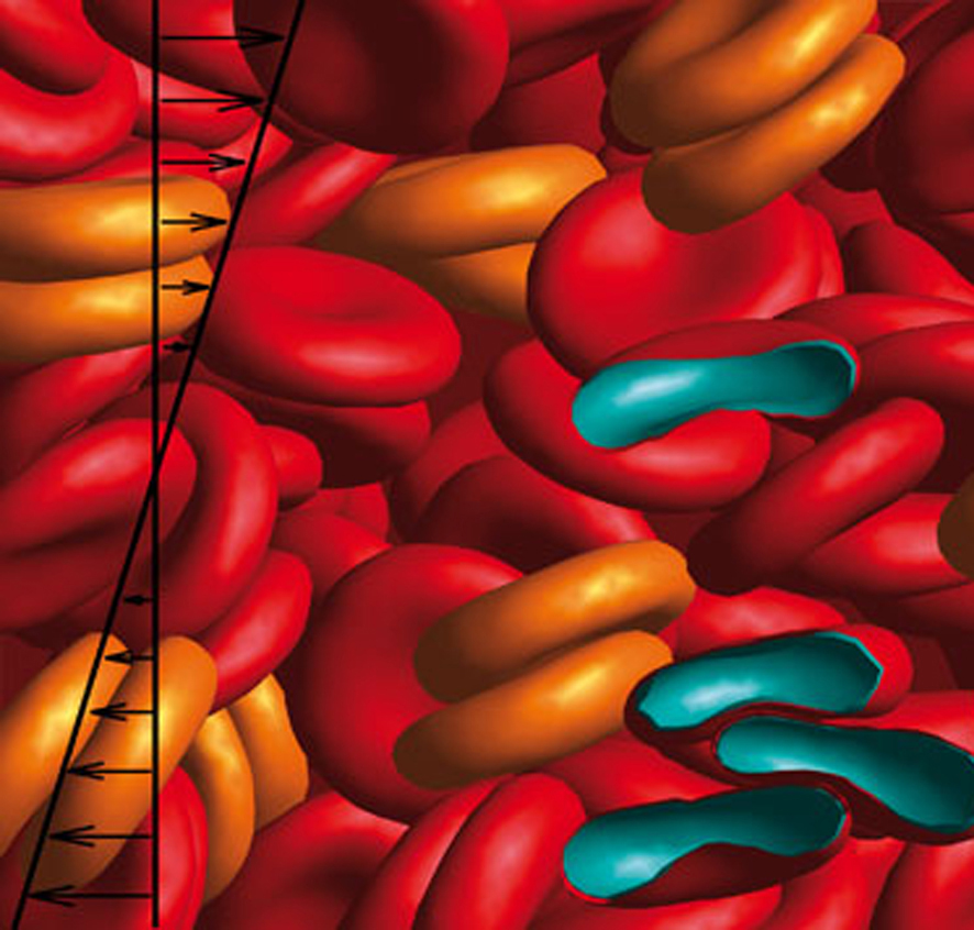 Cool Blood Cell Wallpaper