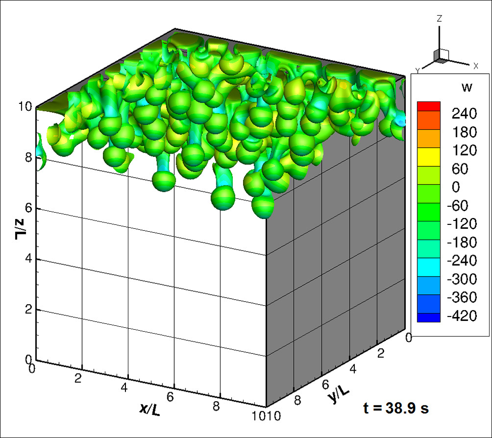 Buoyant-Convectively Driven Heat and Gas Exchange: Gauss Centre for Supercomputing e.V.