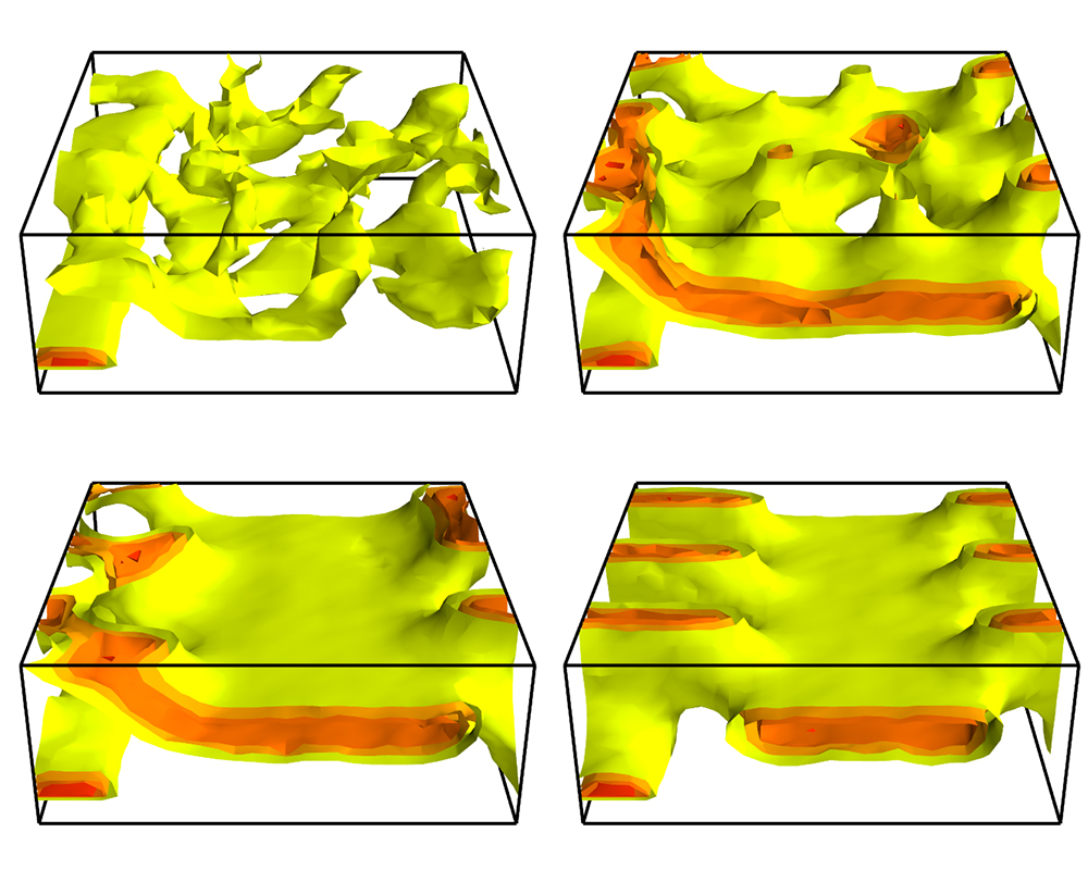 Structure And Dynamics Of Polymer And Lipid Systems Computer Simulation And Numerical Self